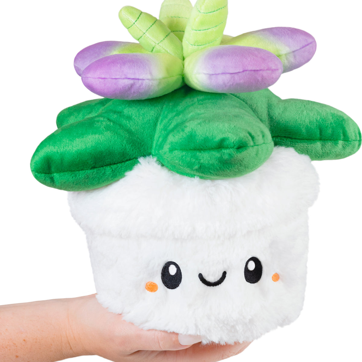 Mini Squishable Succulent (7") – Toy Box Michigan