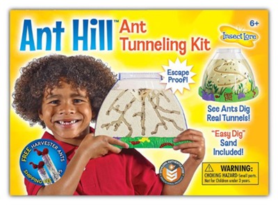 Ant Hill Tunneling Kit - Toy Box Michigan