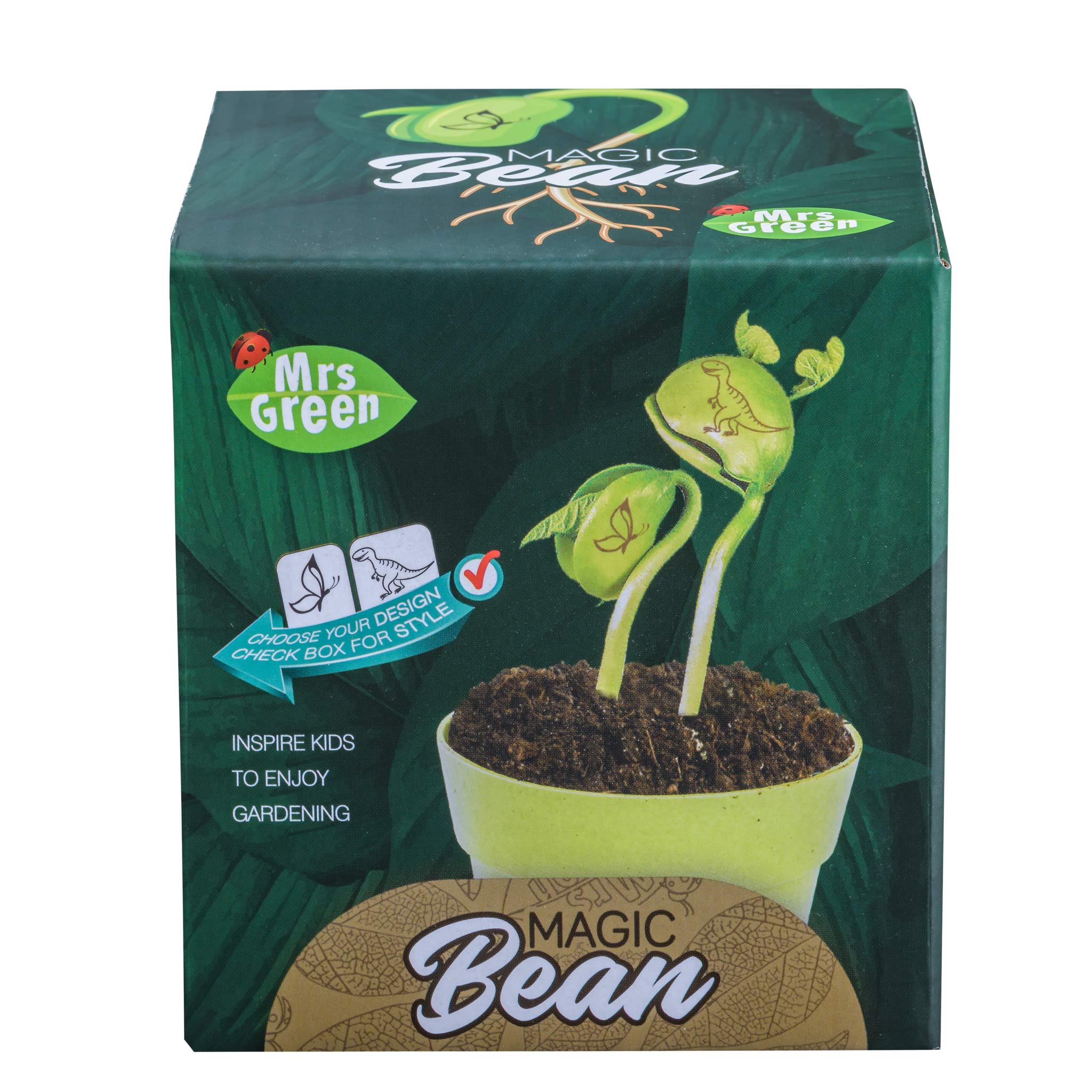Magic Bean - Toy Box Michigan
