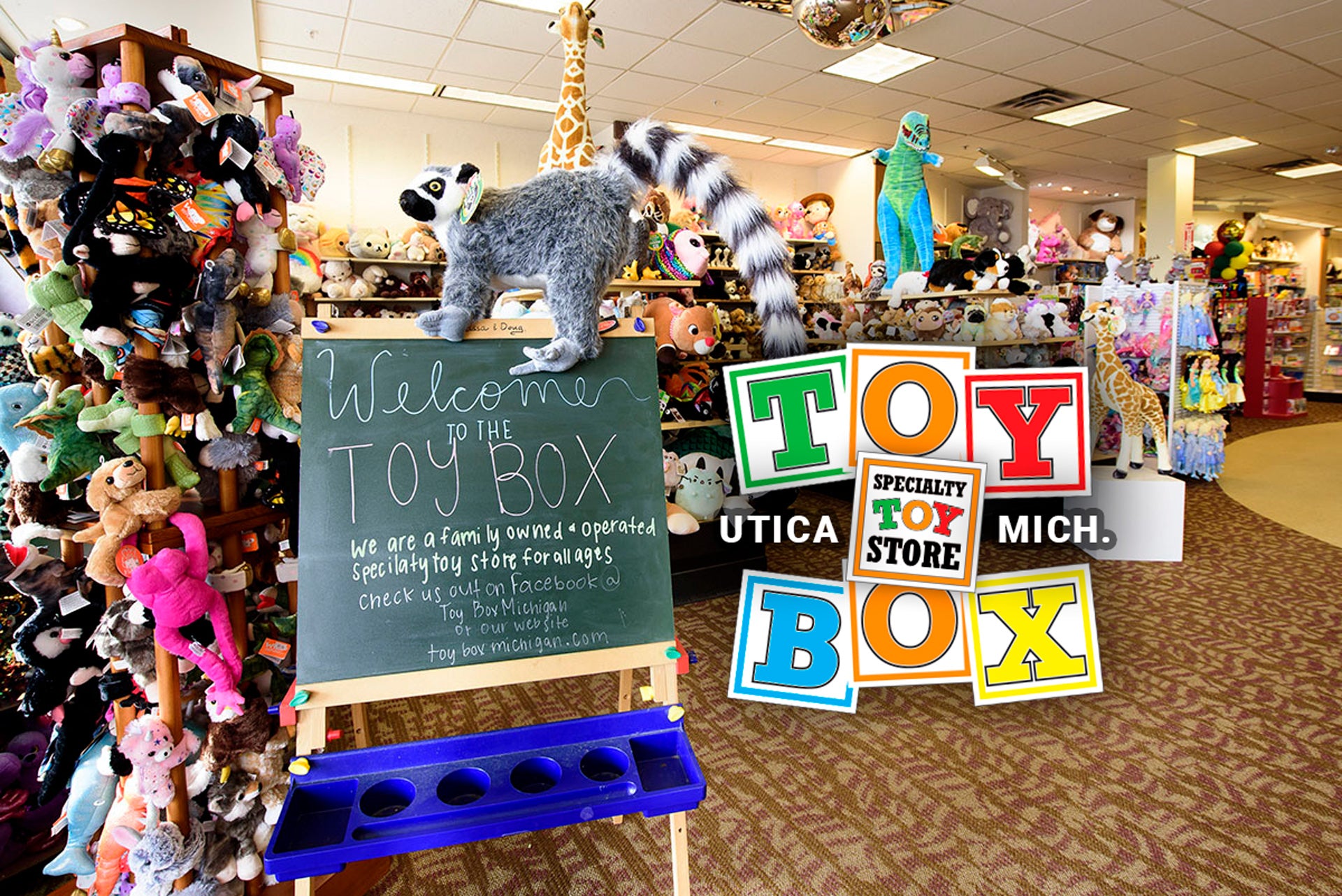 Toy Box Michigan