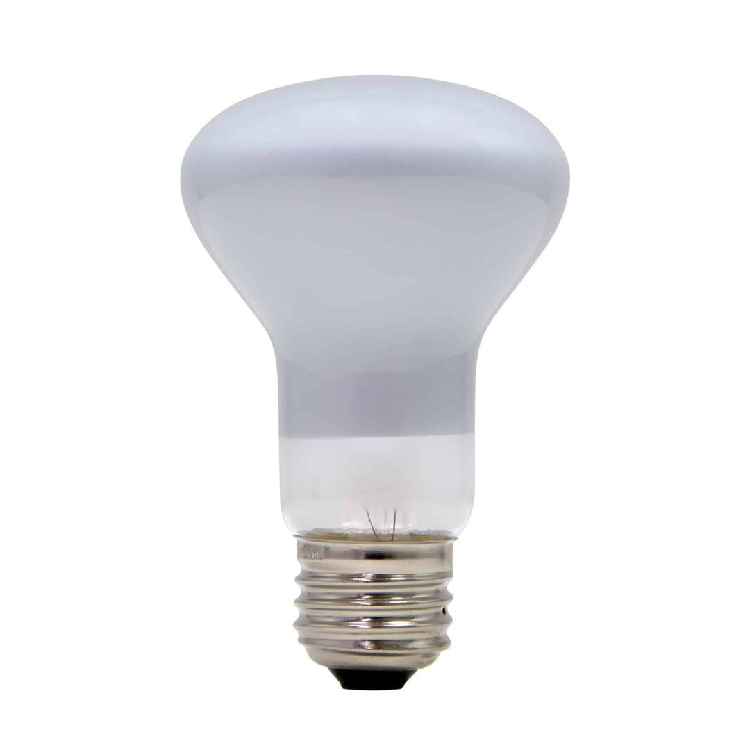 100w Light Bulb - Toy Box Michigan