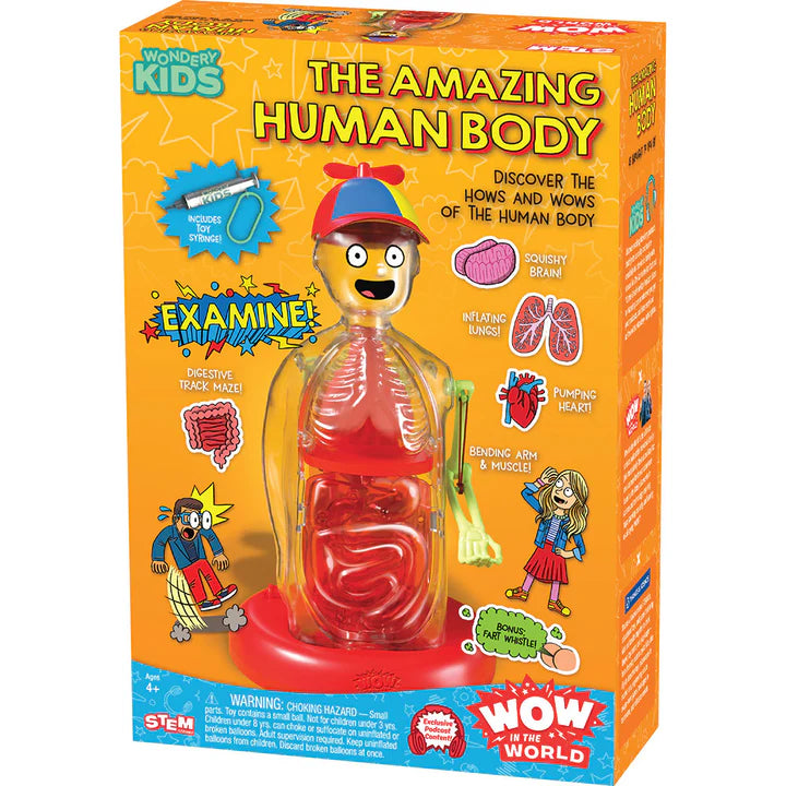 Wow in the World The Amazing Human Body - Toy Box Michigan