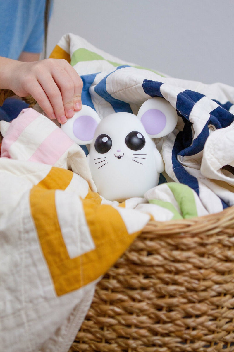 Hide 'N Squeak – Toy Box Michigan