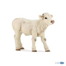 Papo Charolais Calf – Toy Box Michigan
