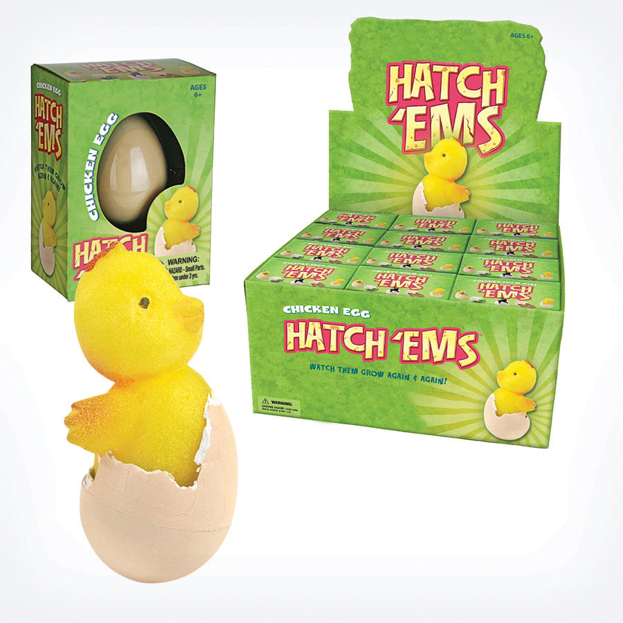 Hatch'ems Chicken Eggs – Toy Box Michigan