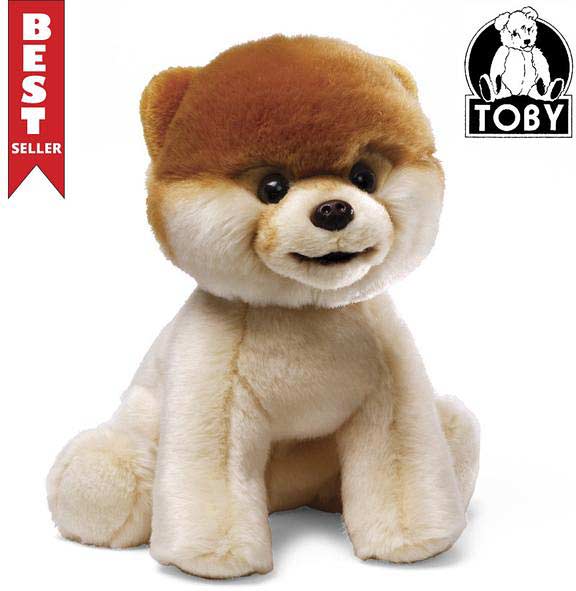 Boo - The World'S Cutest Dog – Toy Box Michigan