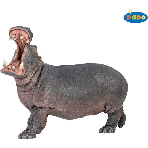 Hippopotamus - Toy Box Michigan