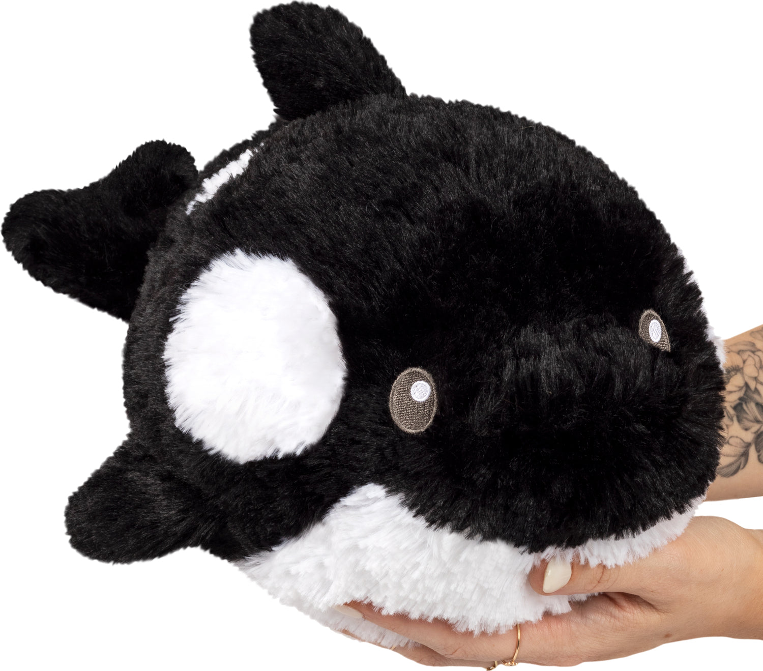 Mini Squishable Orca - Toy Box Michigan