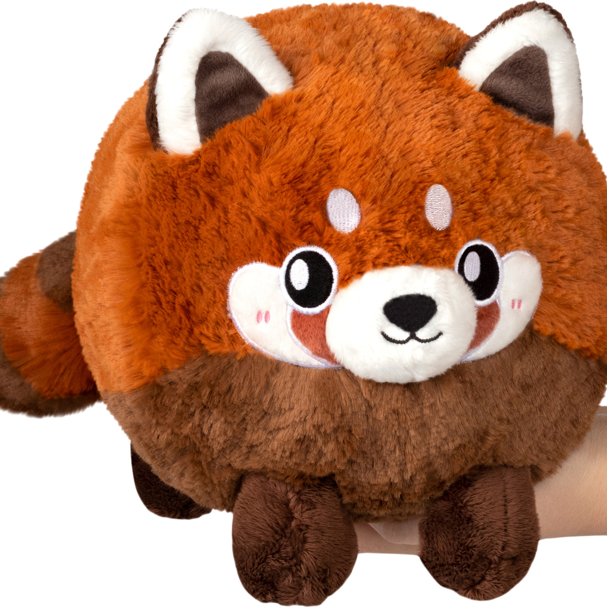 Mini Squishable Baby Red Panda – Toy Box Michigan