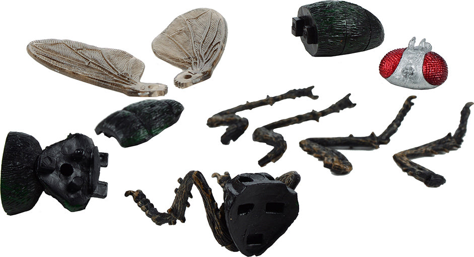 Gross Insects 3D Puzzle: Assemble Your Favorite Bugs - Toy Box Michigan