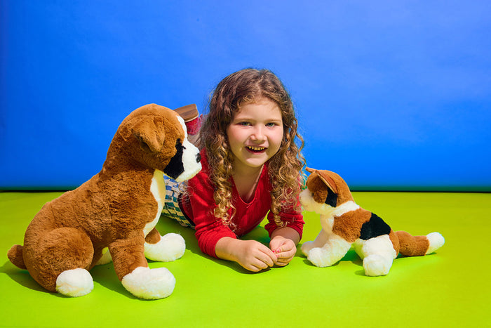 Douglas Dogs - Toy Box Michigan