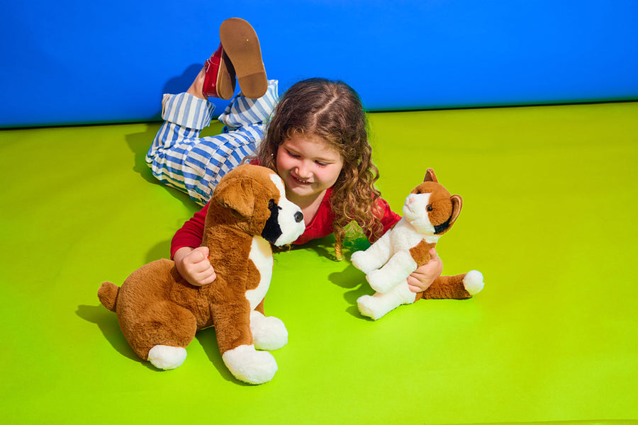 Douglas Dogs - Toy Box Michigan